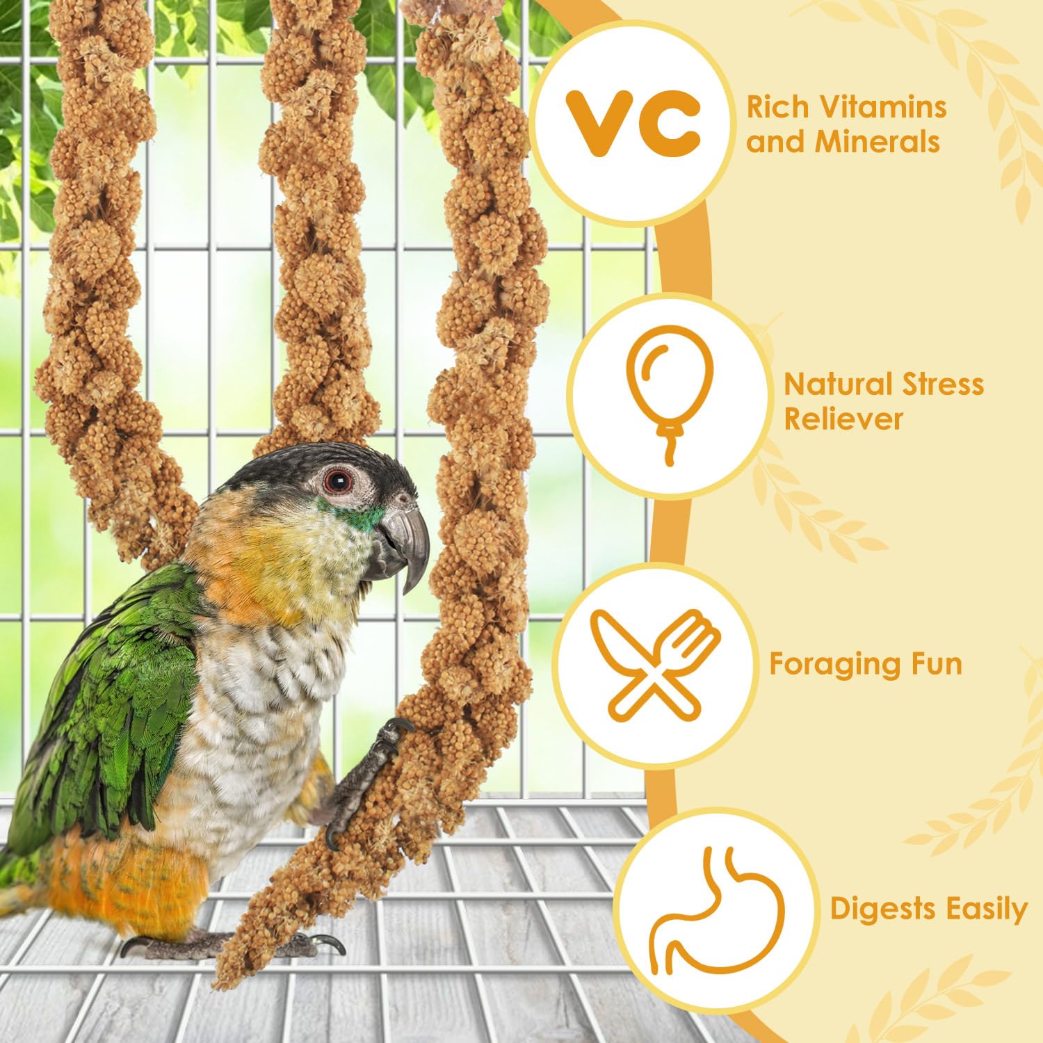 Snapklik.com : Spray Millet Treats, Natural Sun-Dried Bird Millet ...