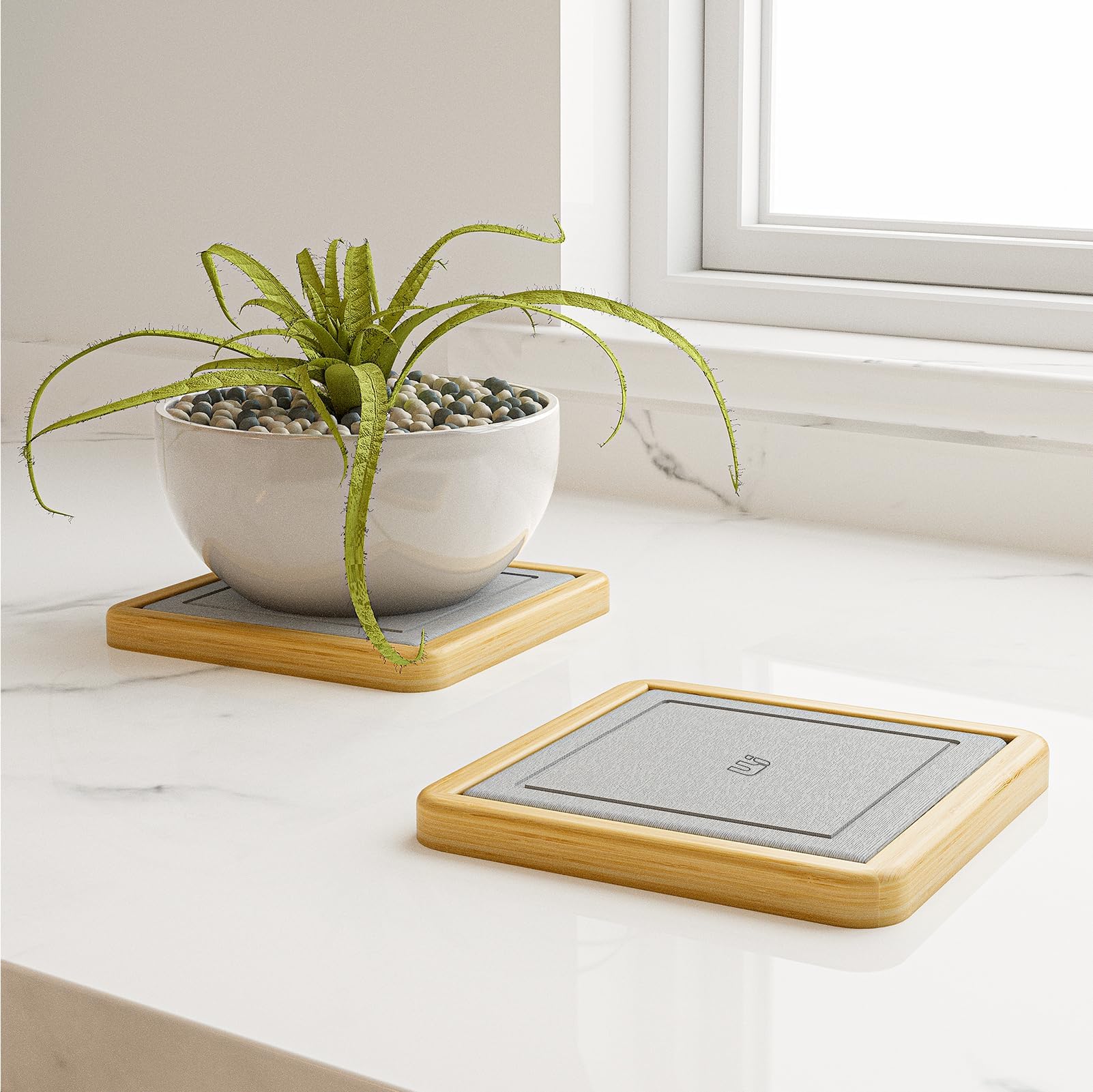 Amazon.com : Wealone 2 Pack 6 Inch Plant Saucer, Quick Drying ...