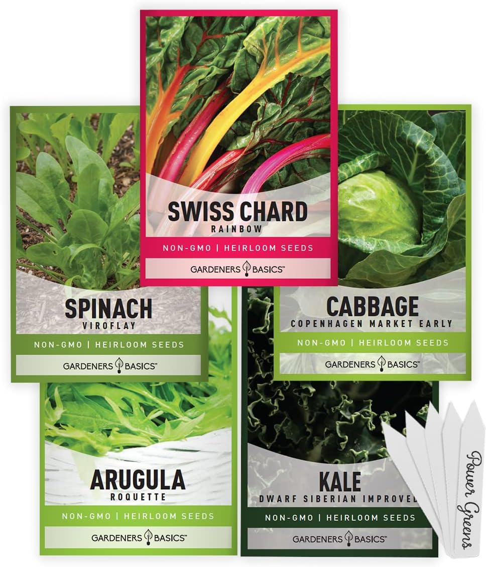 Amazon.com : Gardeners Basics Power Greens Seeds for Planting Individual Packets - Arugula ...