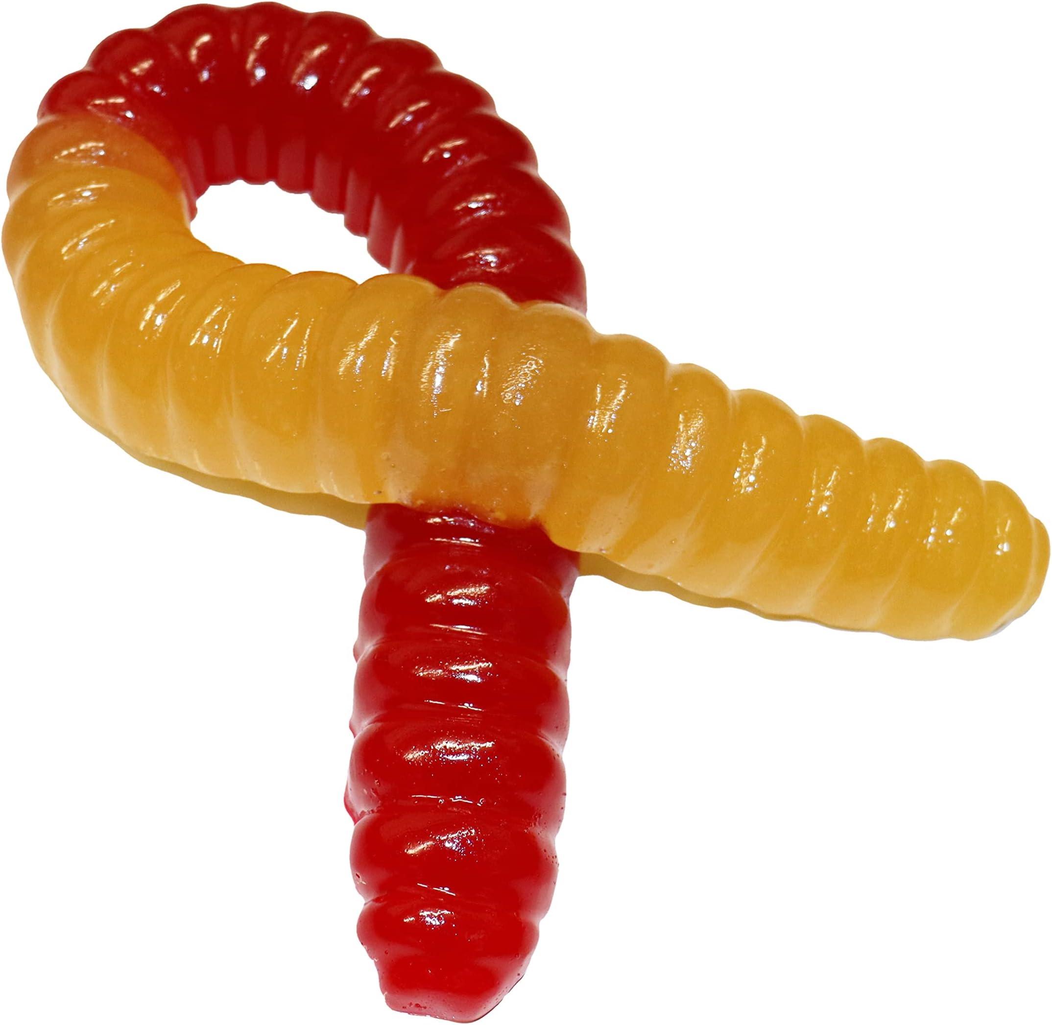 Amazon.com : The Gummy Bear Guy (TM) | World's Largest Gummy (TM ...