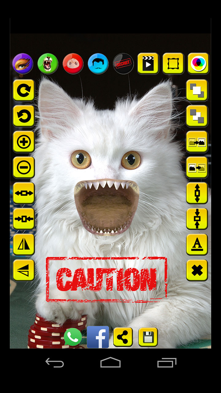 Face Fun Photo Collage Maker 5 (Free) - App on Amazon Appstore