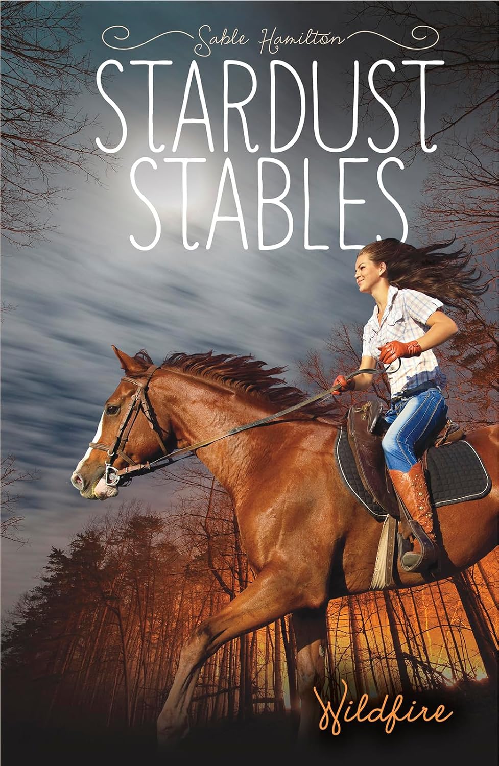 Amazon.com: Wildfire (Stardust Stables): 9781434297952: Hamilton, Sable ...