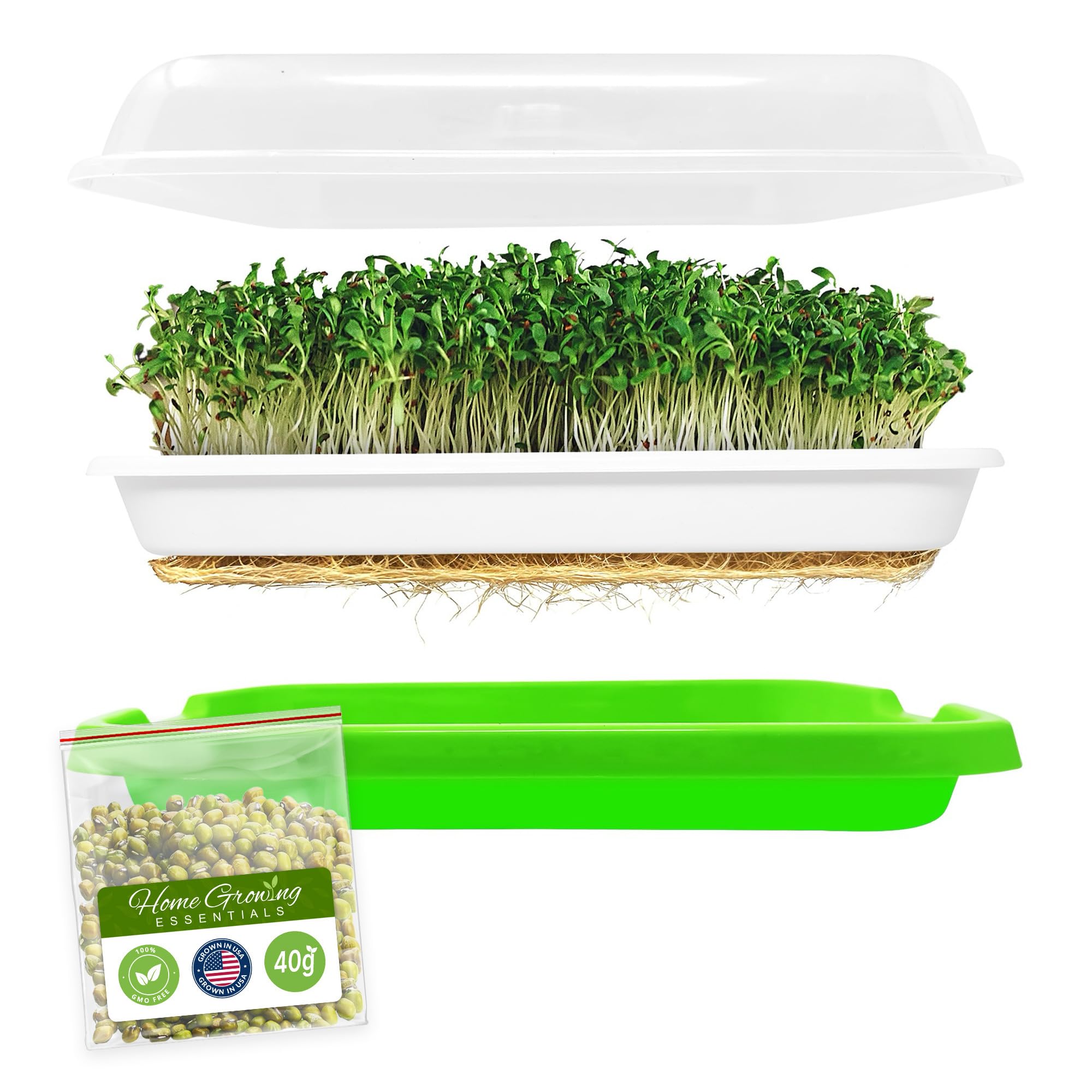 Amazon.com : HomeGrowing Essentials Sprouting Tray with 40g Mung Bean ...