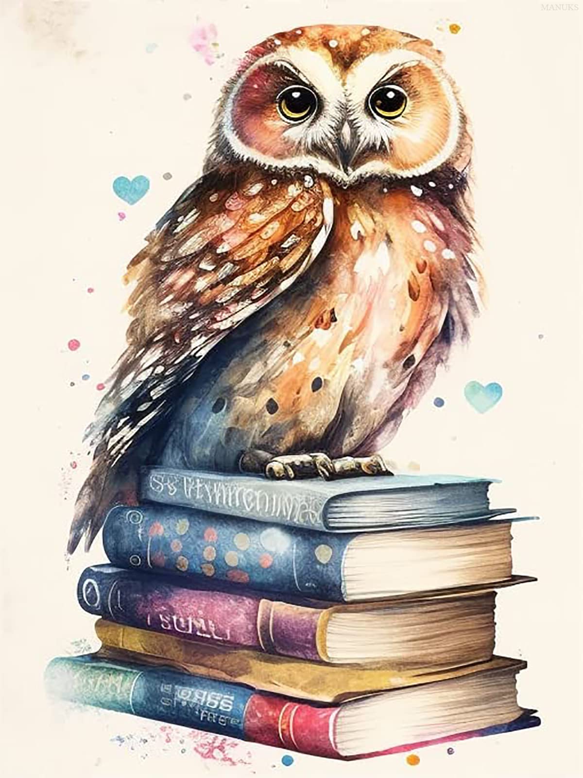 Owl Reading A Book Drawing