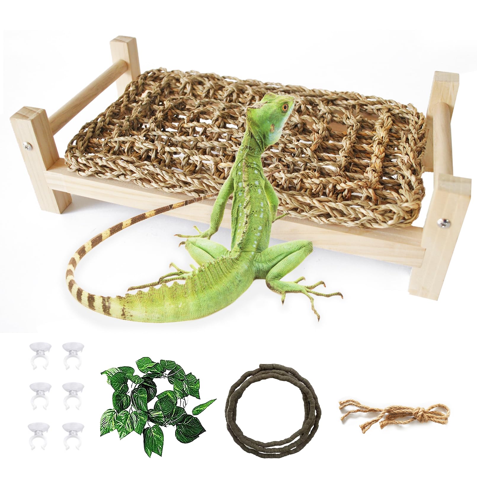 Amazon.com : kathson Wooden Lizard Lounger for Rest,Bearded Dragon ...