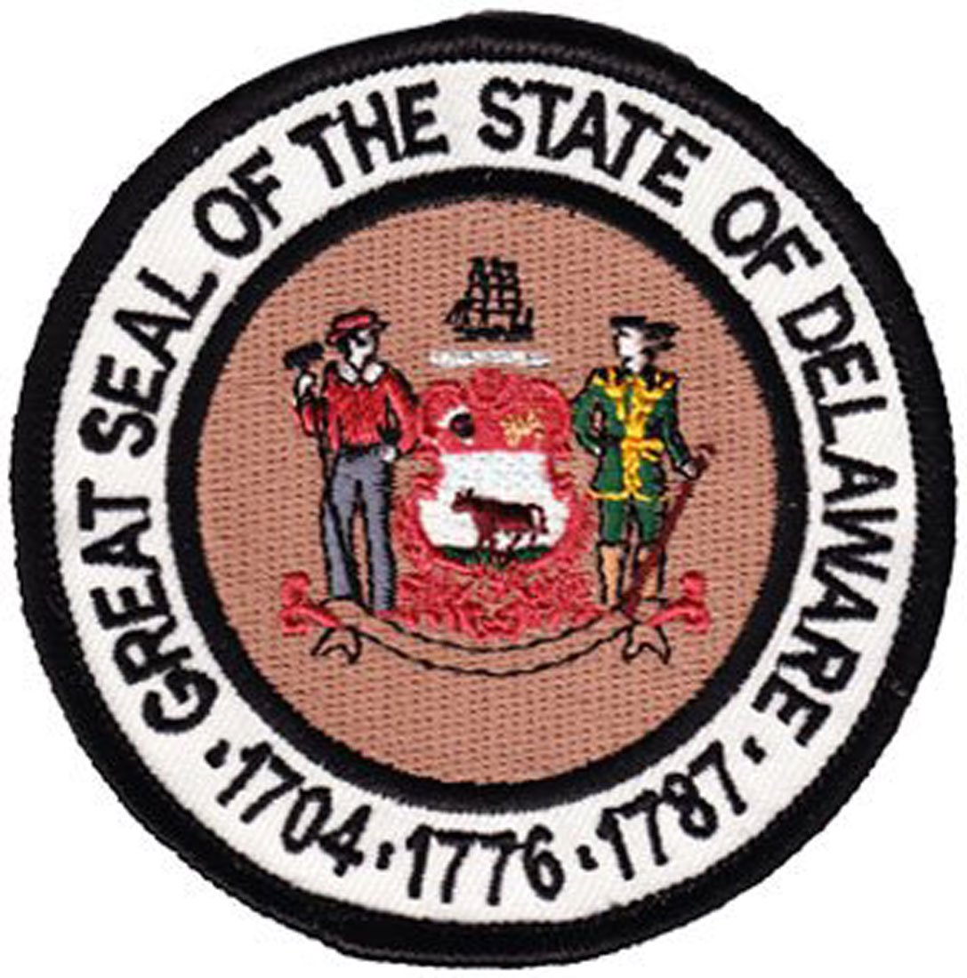 Amazon.com: Delaware - 3 in Round State Seal Patch