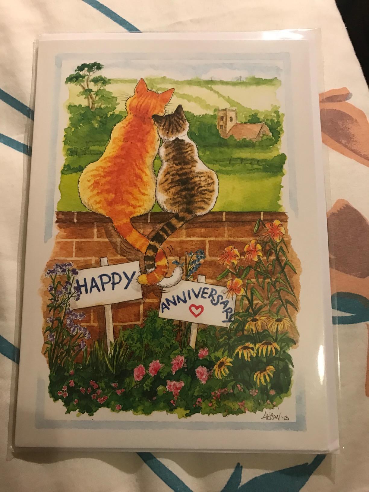 Entwined - Humorous Cat themed greeting card (Anniversary) : Amazon.co ...