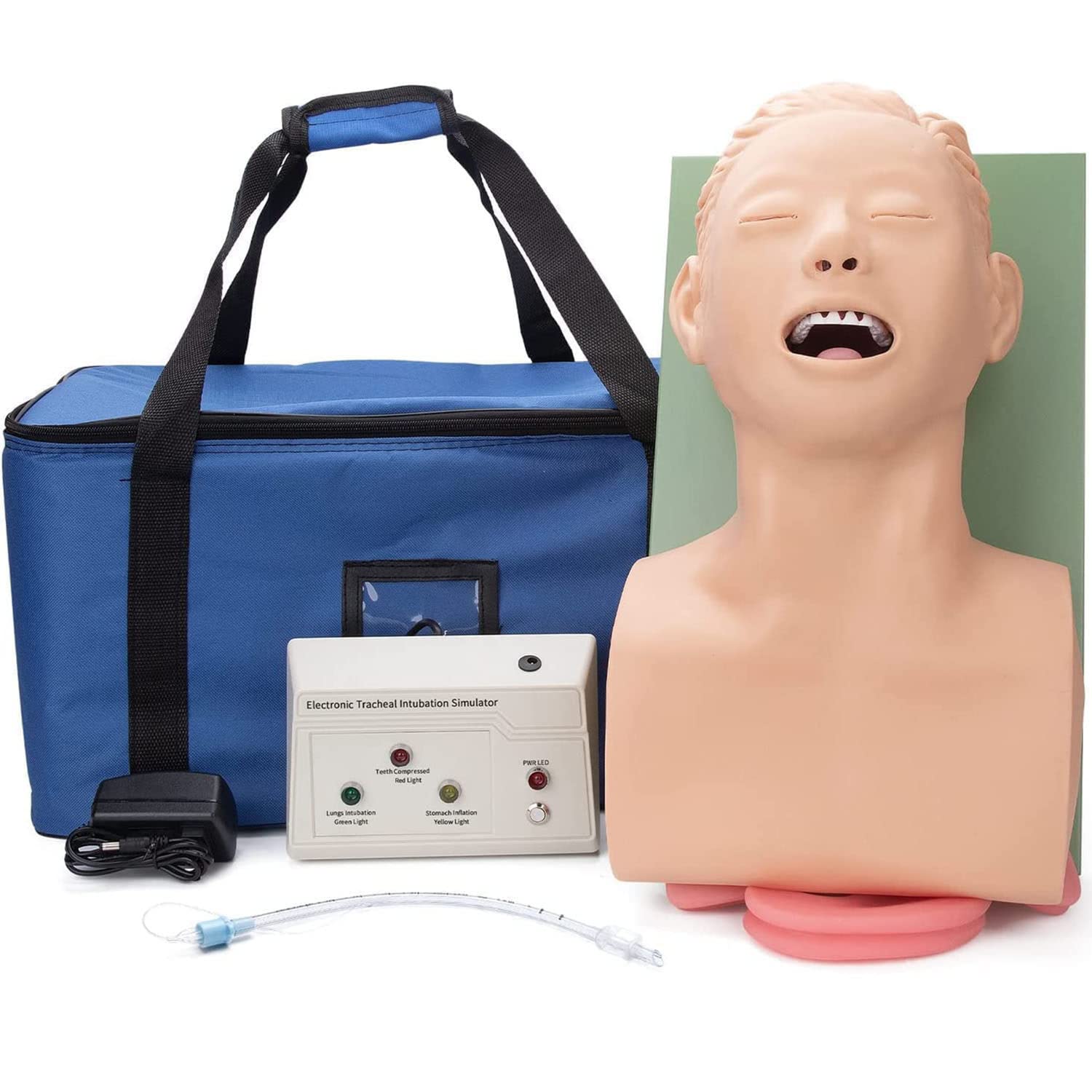 Buy DEEJOO Anatomical Model Oral Nasal Intubation Manikin Training ...