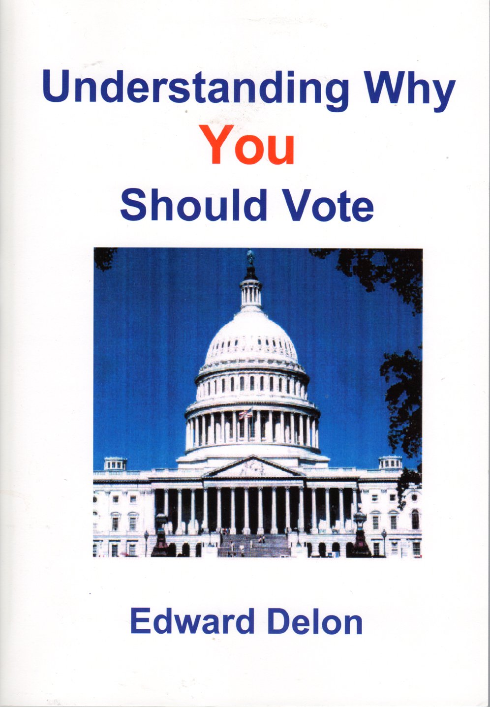 Understanding Why You Should Vote: Edward Delon: Amazon.com: Books