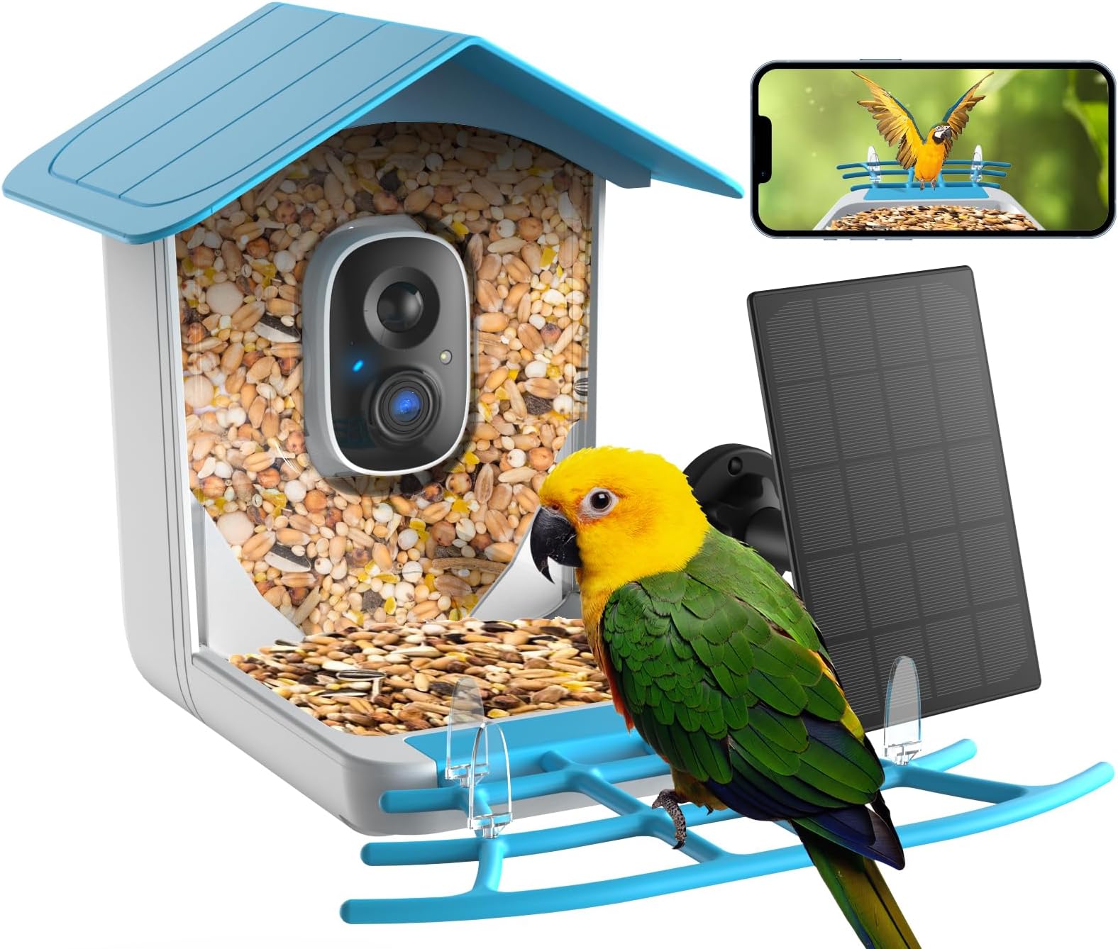 Amazon.com: TMEZON Smart Bird Feeder with Camera, Bird Feeder Camera ...
