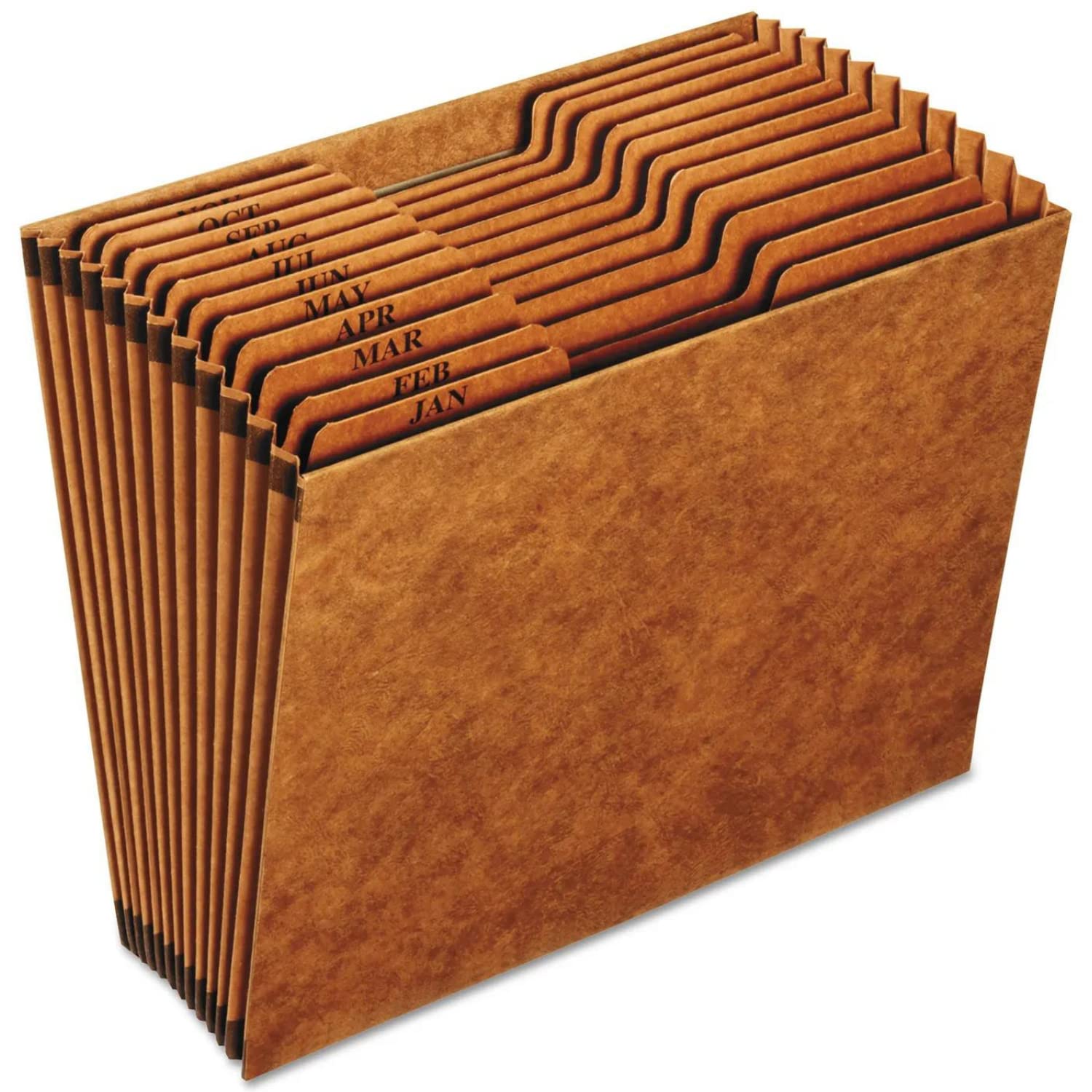 Snapklik.com : 1InTheOffice Monthly Accordion File Organizer - Heavy ...