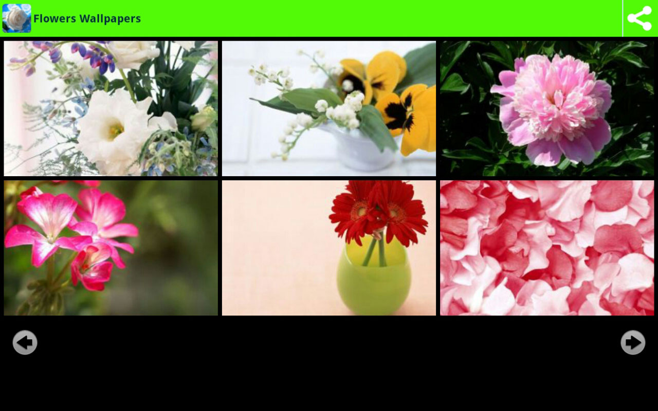 Flowers Wallpapers - App on Amazon Appstore