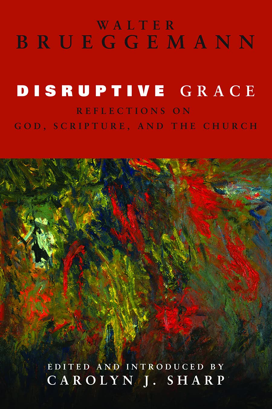 Disruptive Grace: Reflections on God, Scripture, and the Church ...