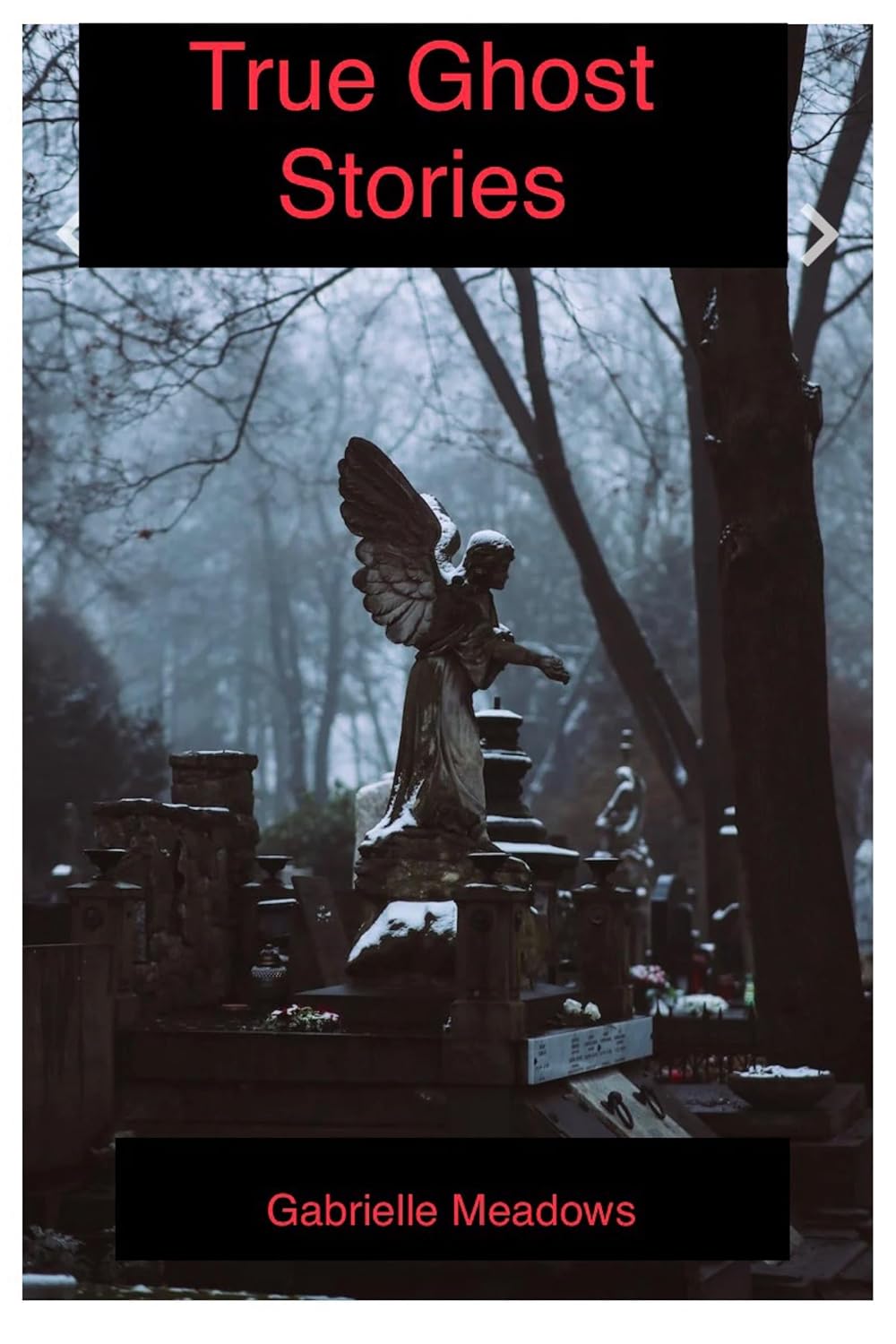 True Ghost Stories - Kindle edition by Meadows , Gabrielle . Religion ...