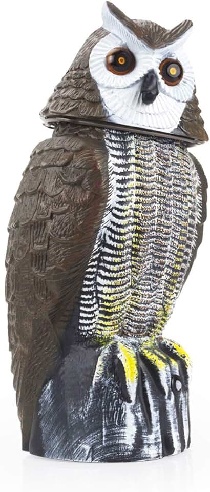 Amazon.com: motion activated owl with sound