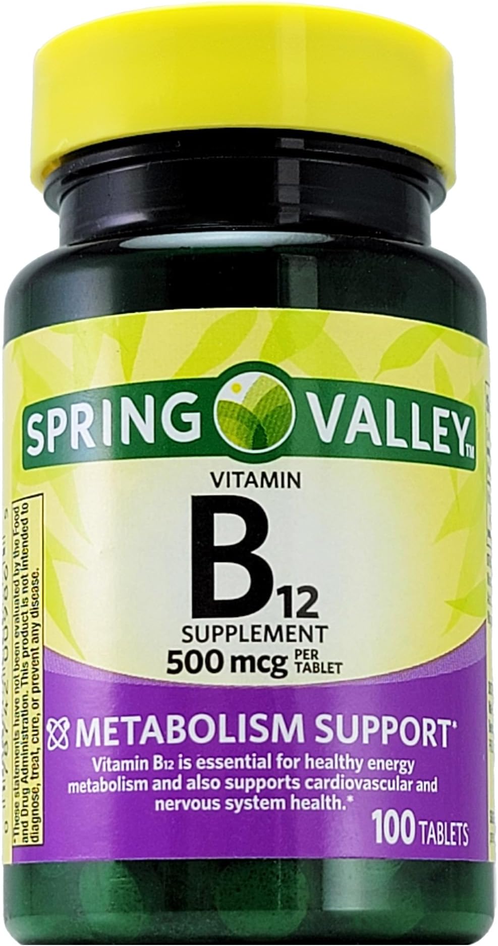 Amazon.com: Sublingual B12 500 mcg- Spring Valley 500 mg Cherry Flavor ...
