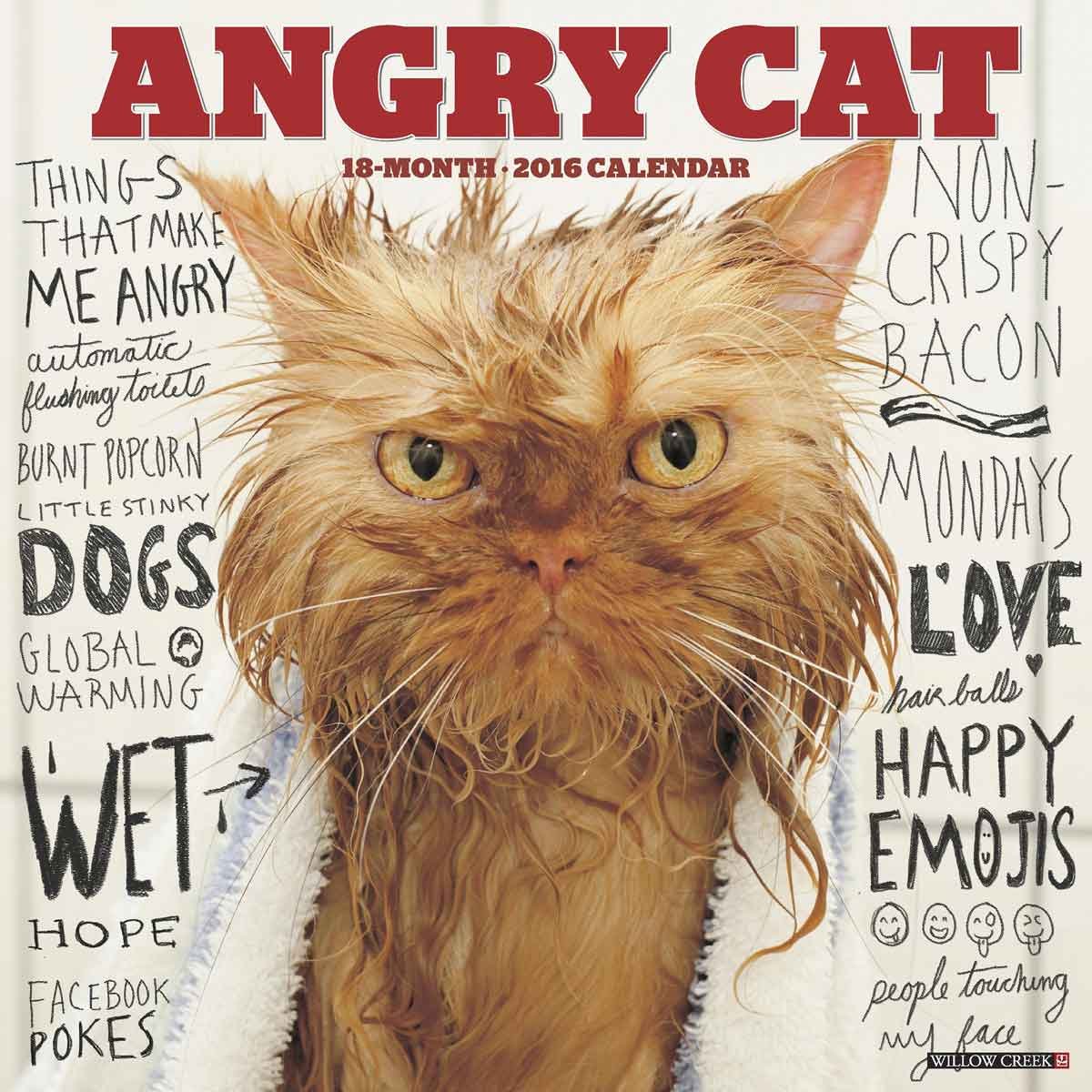 Amazon.com: 2016 Angry Cat Wall Calendar: 9781623439033: Willow Creek ...