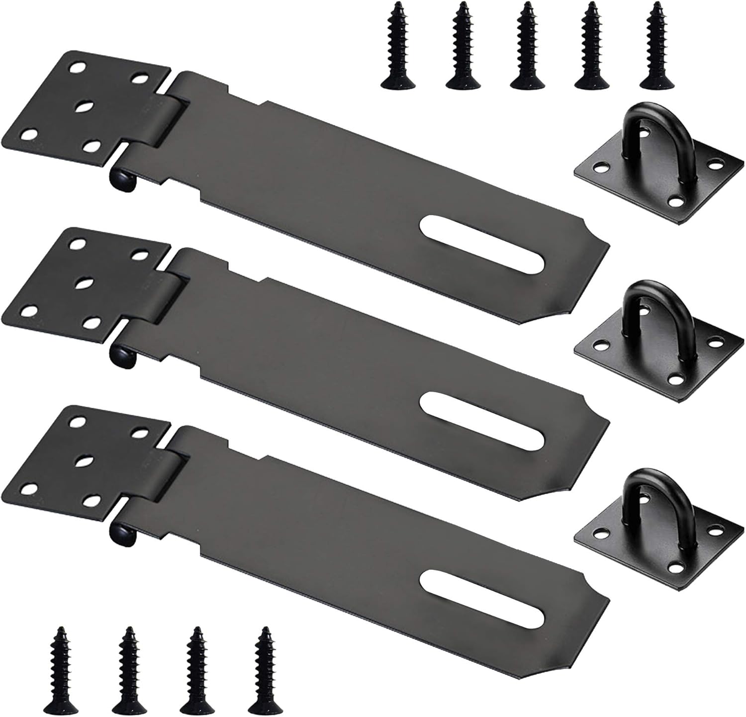 Hasp and lock - mzaernest