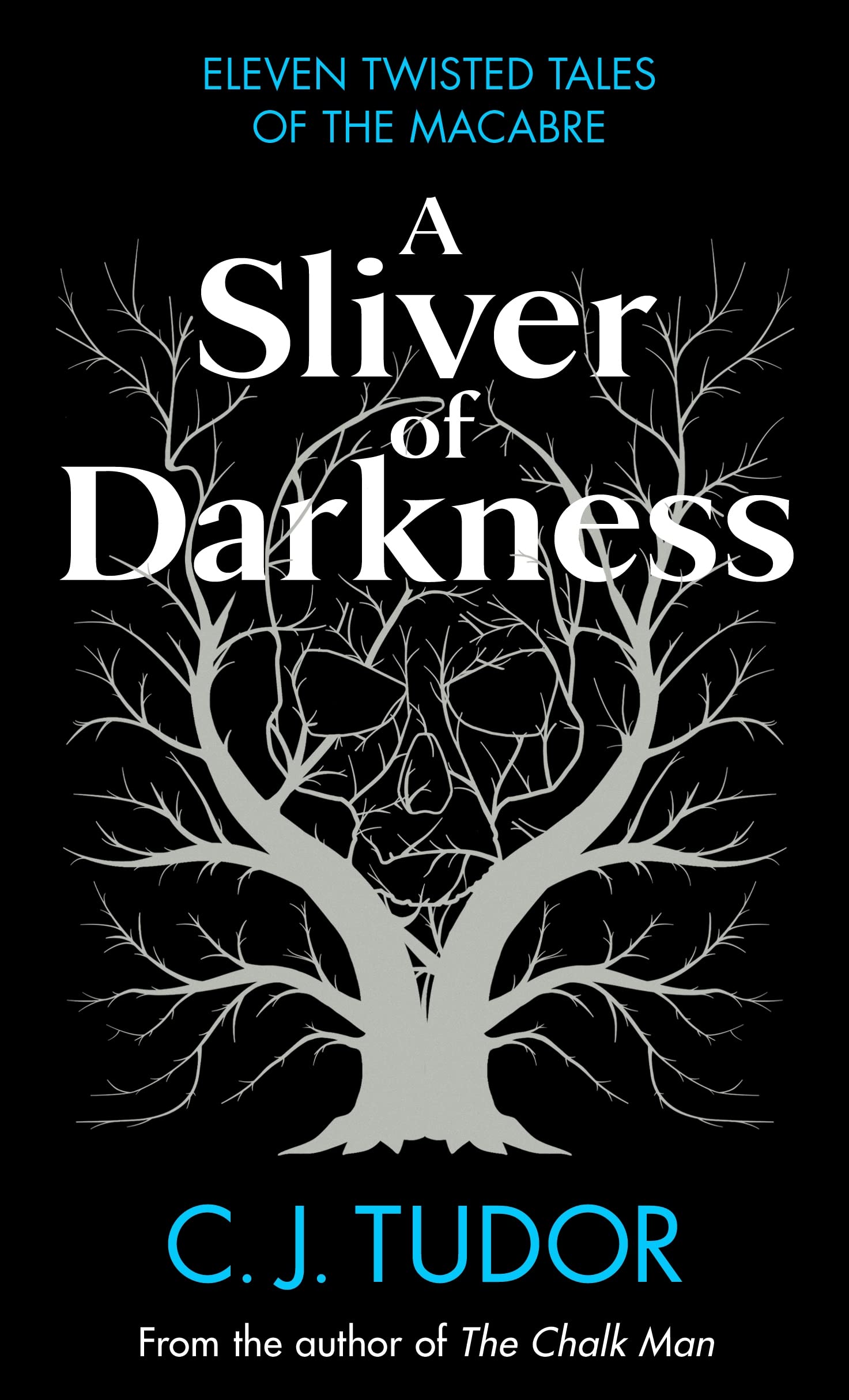 Amazon | A Sliver of Darkness | Tudor, C. J. | Horror