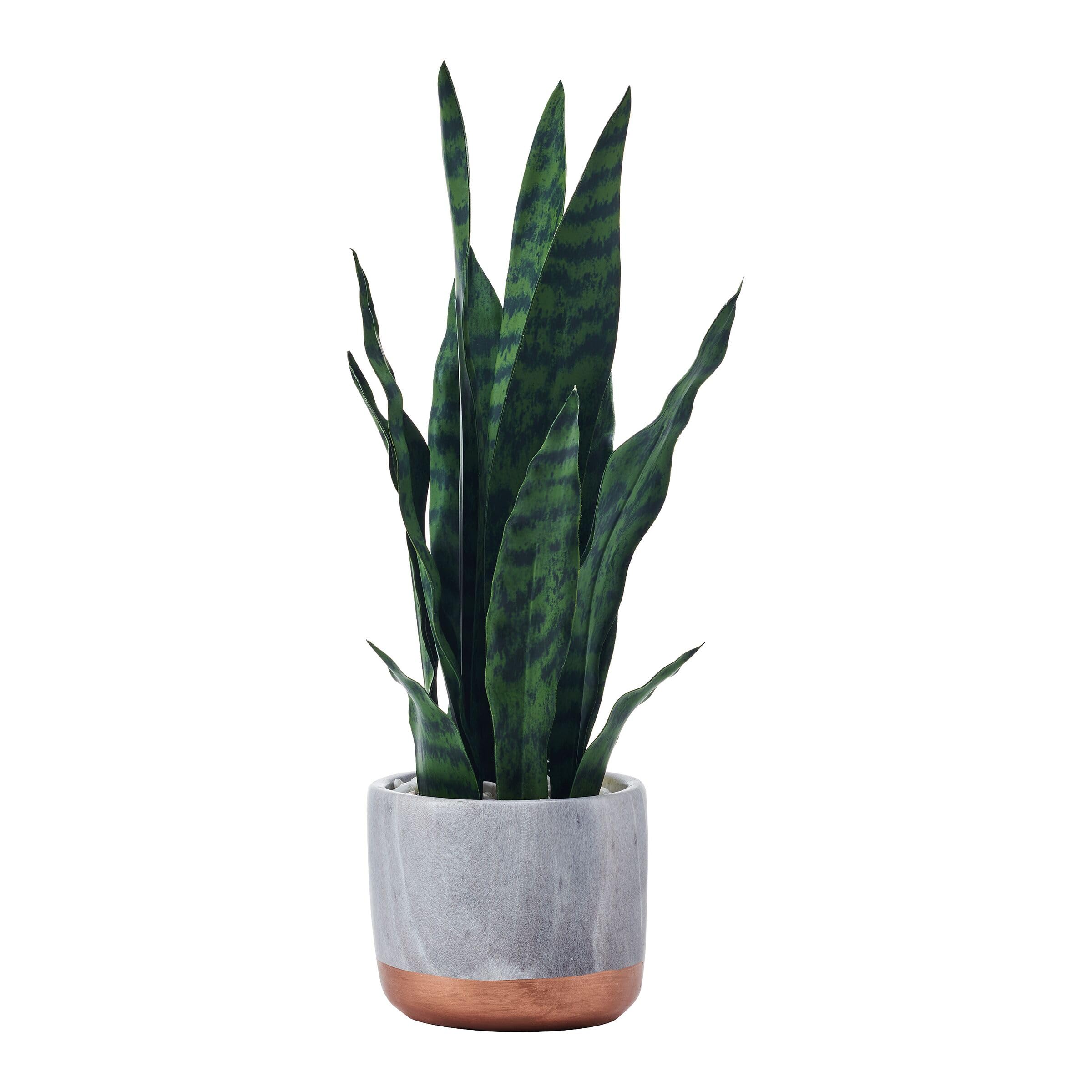 Amazon.com: Mikasa Snake Plant in Faux Gray Marble Pot for Bathroom ...