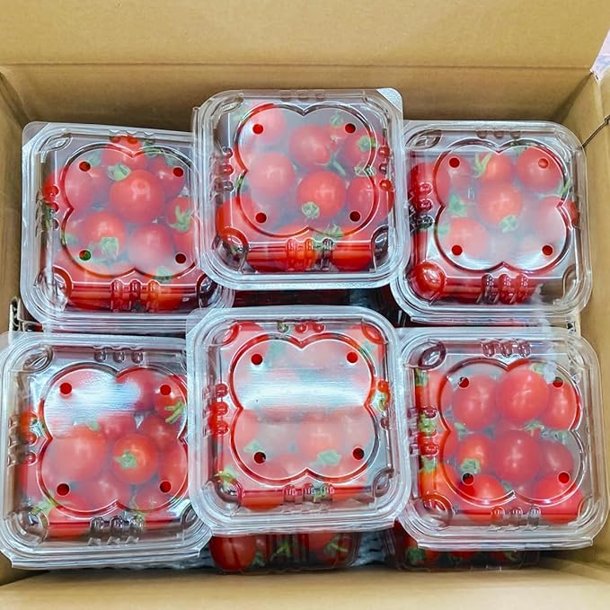Amazon.co.jp: 九州 熊本産 ミニトマト 約4kg 20パック（200g×20）2S～2L 不揃い (002) 野菜 フルーツ 熊本 食品 旬 トマト : 食品・飲料・お酒