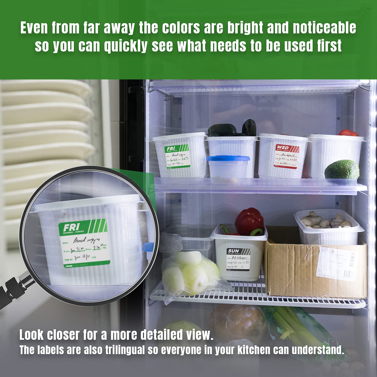 MESS Large Days of The Week Stickers - 500 Day Dots Use First Stickers ...