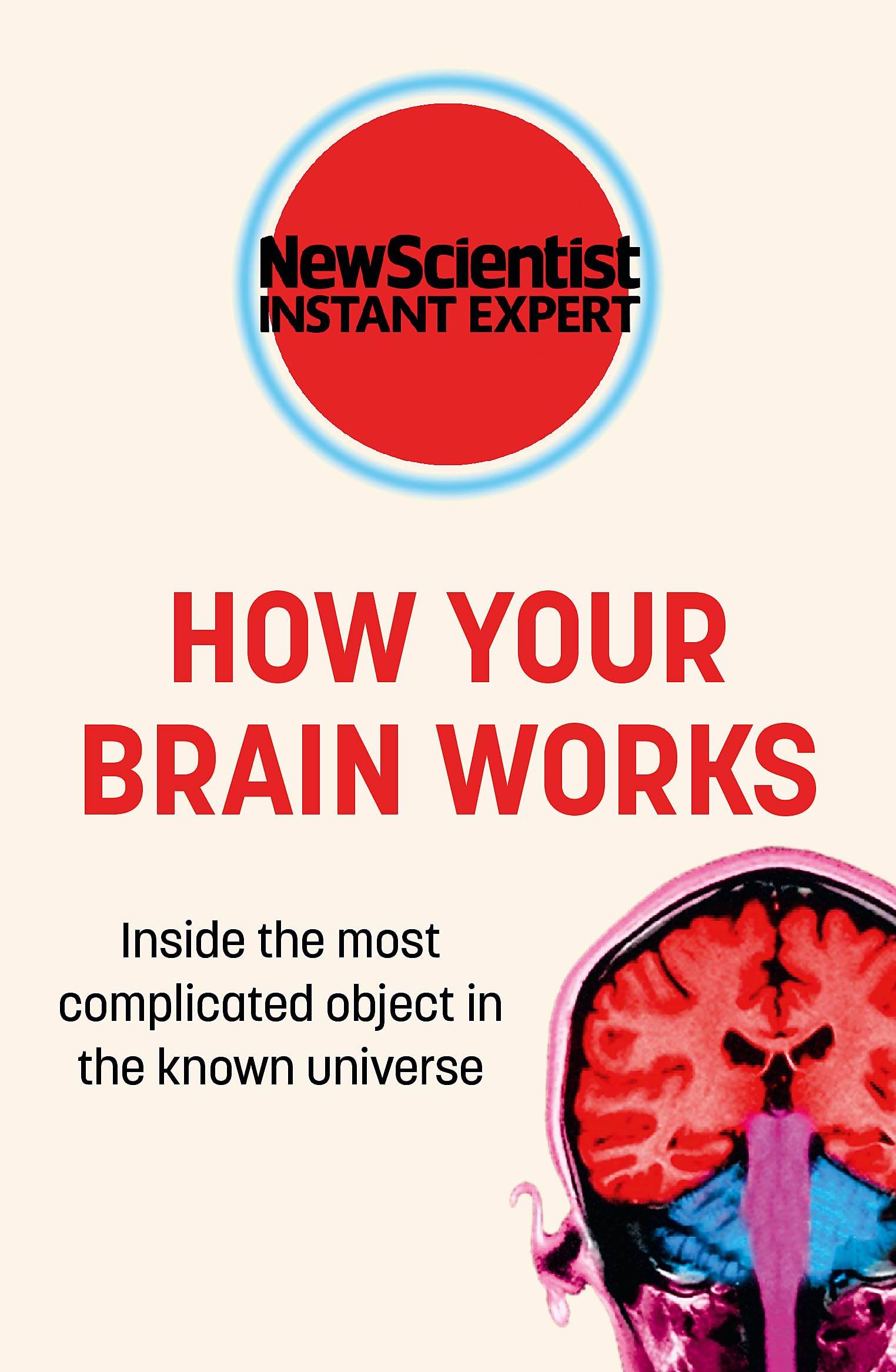 How Does Your Brain Work
