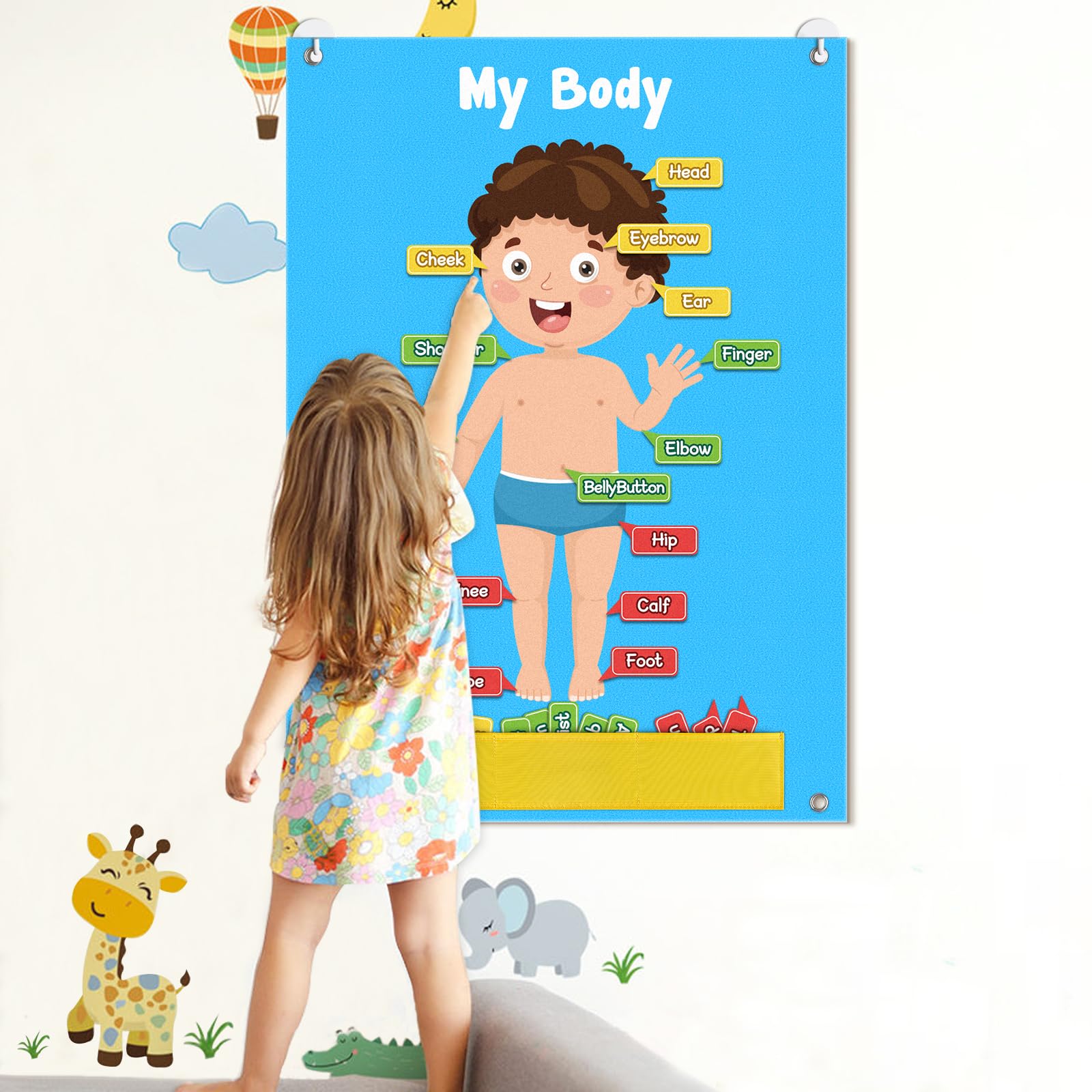 Child Friendly Body Parts