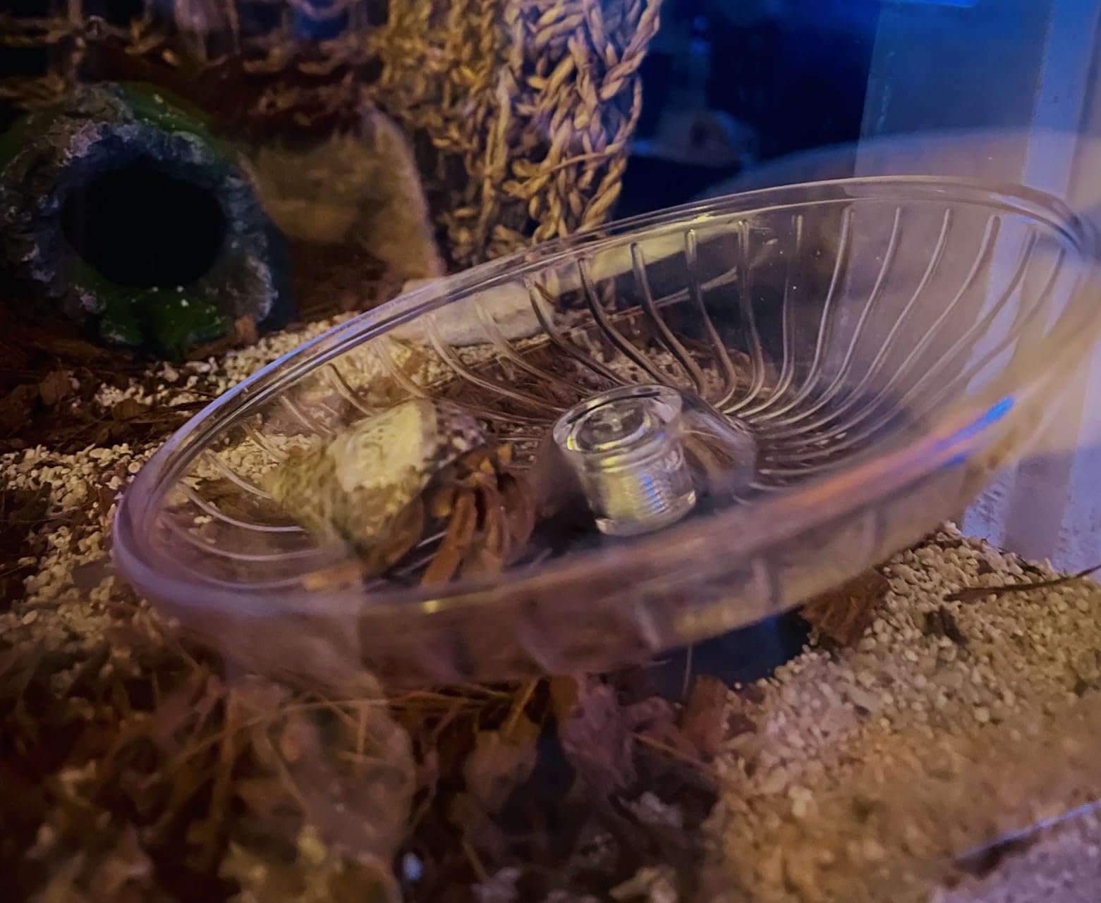 Hermit Crabs Wheel Toy, Hamster Running Wheel Toys, Small Animals Cage ...