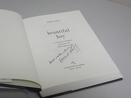 Beautiful Boy: A Father's Journey Through His Son's Addiction: Sheff ...