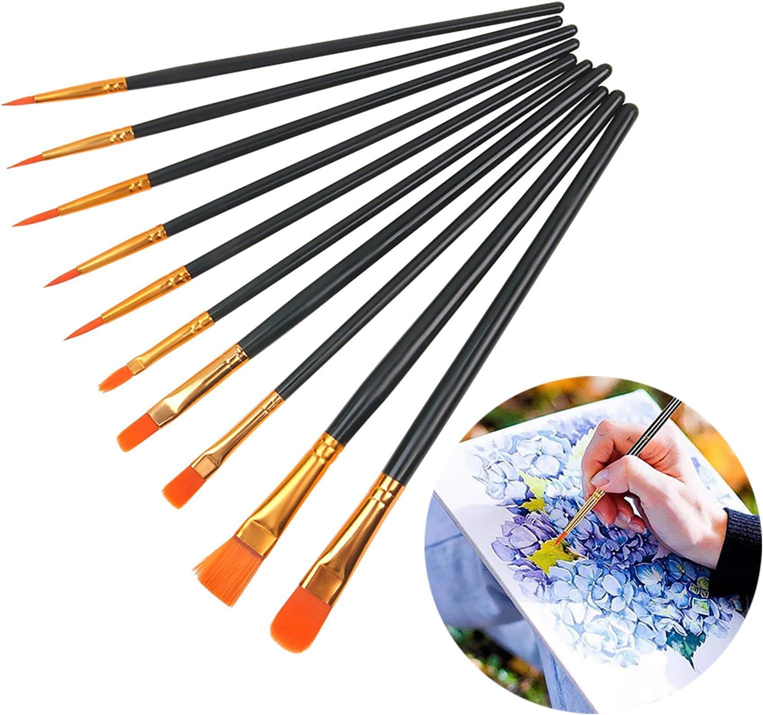 CONGGUAN 10 Pieces Professional Painting Brushes Nylon Acrylic Paint ...