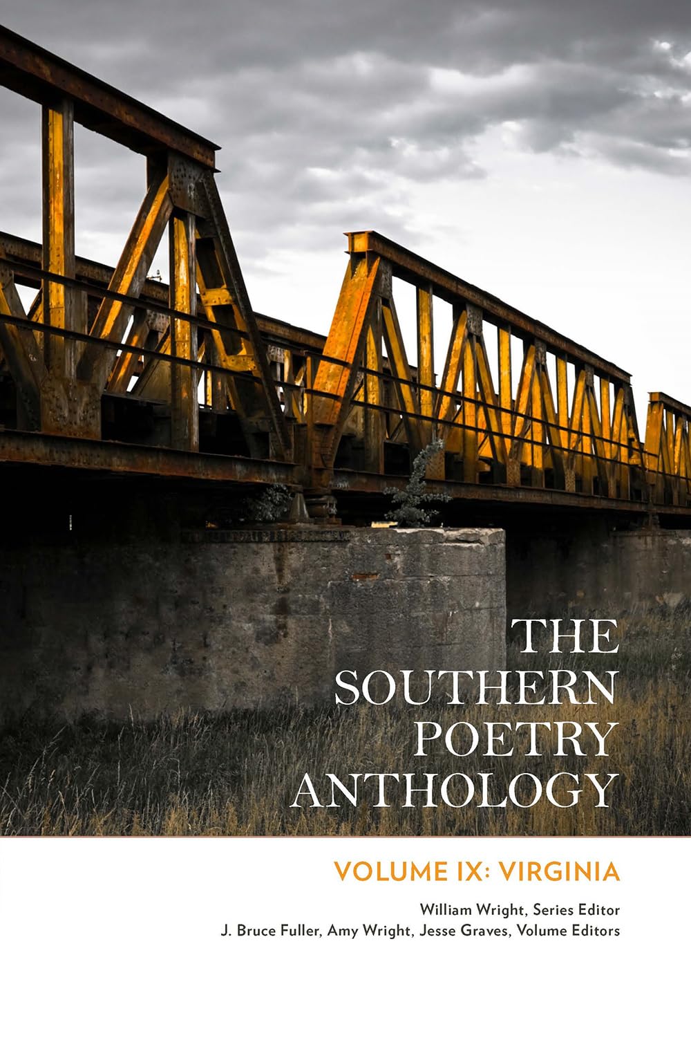 The Southern Poetry Anthology, Volume IX: Virginia (Volume 9): Wright ...