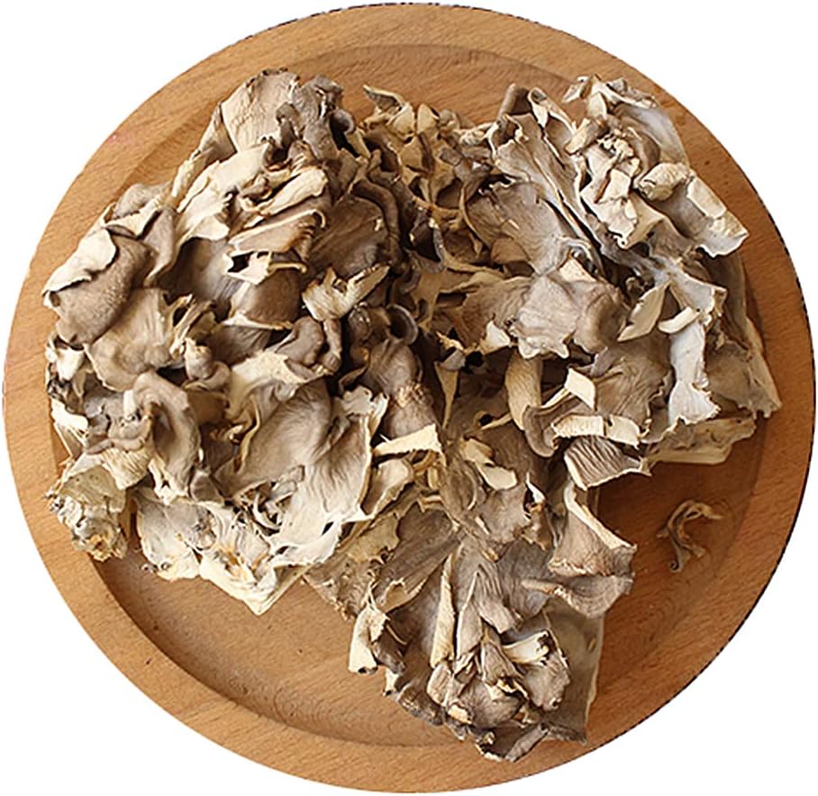 Amazon.com: Grifola Frondosa Mushroom,Maitake,Griflola Frondosa,grifola ...