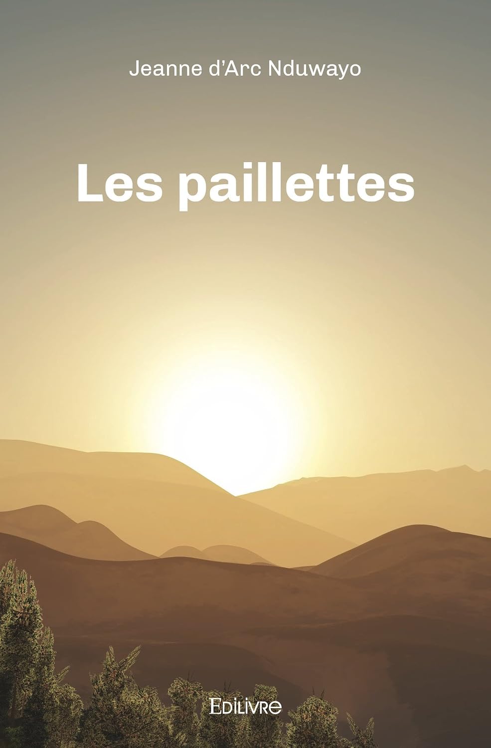 Les paillettes (French Edition): d'Arc Nduwayo, Jeanne: 9782414434329 ...