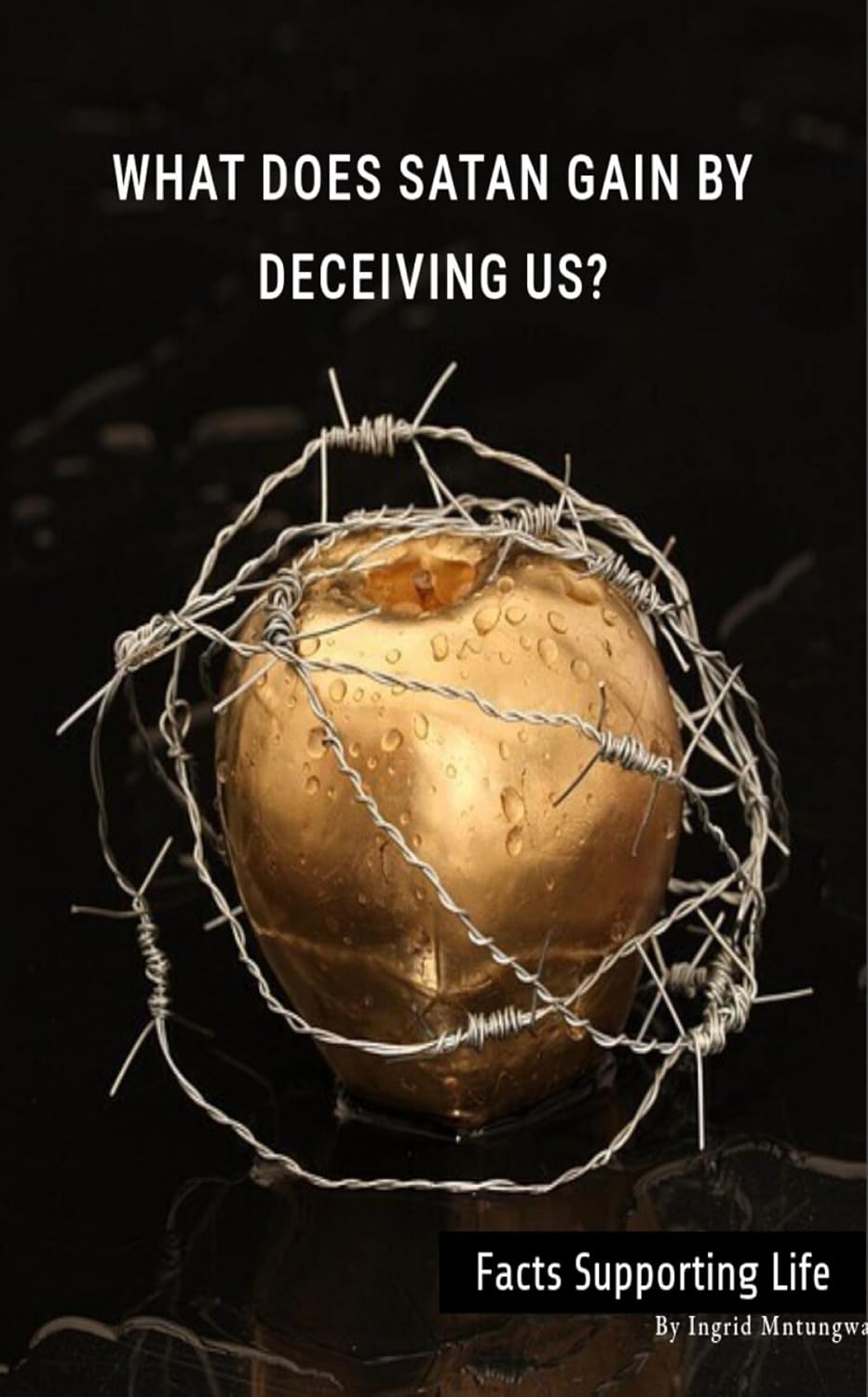 Amazon.com: WHAT DOES SATAN GAIN BY DECEIVING US? eBook : Mntungwa ...