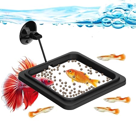 VAYINATO® Aquarium Black (Square) Fish Food Feeder with Strong Suction ...