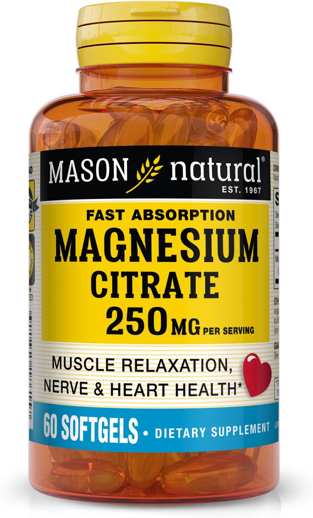 Amazon.com: MASON NATURAL Magnesium Citrate 250 mg Fast Absorption - 60 ...