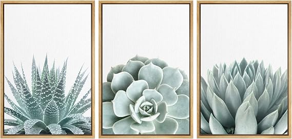 Amazon.com: wall26 Framed Wall Art Print Set Green Succulent and Cactus ...