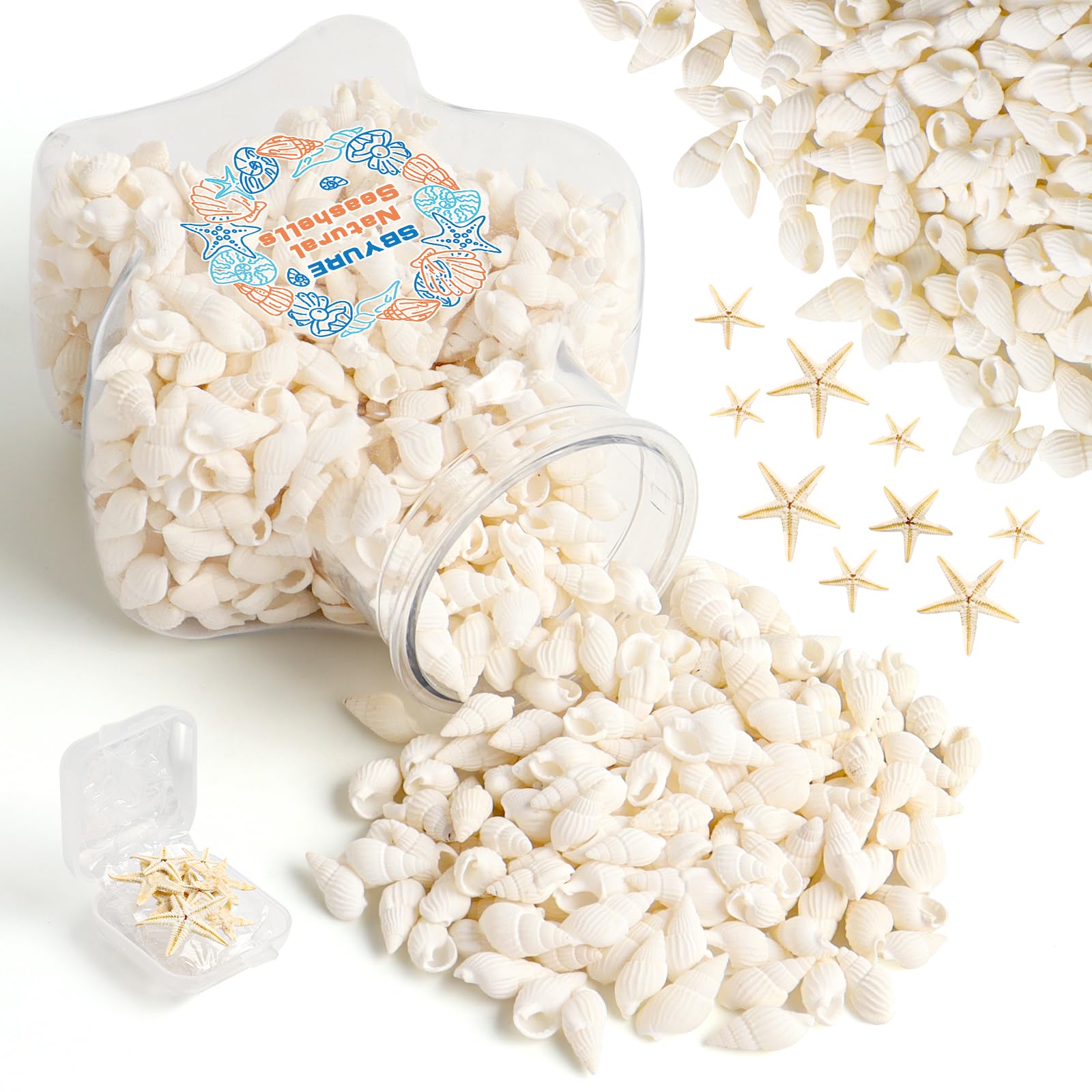 Amazon.com: SBYURE Tiny Sea Shells and Natural Starfish for Crafting ...
