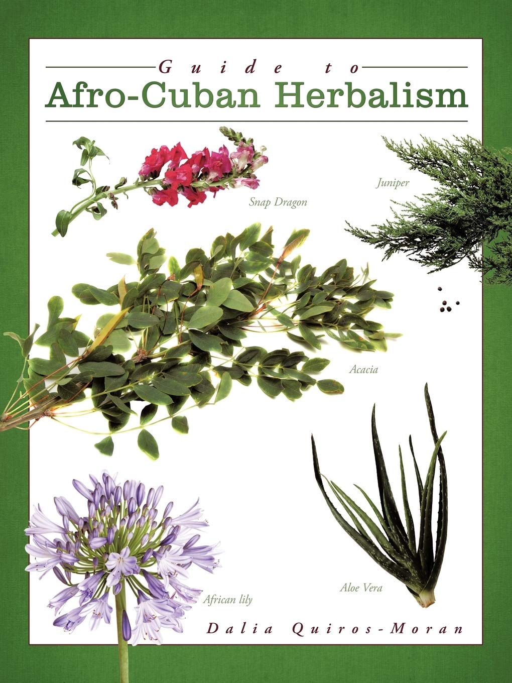 Snapklik.com : Guide To Afro-Cuban Herbalism