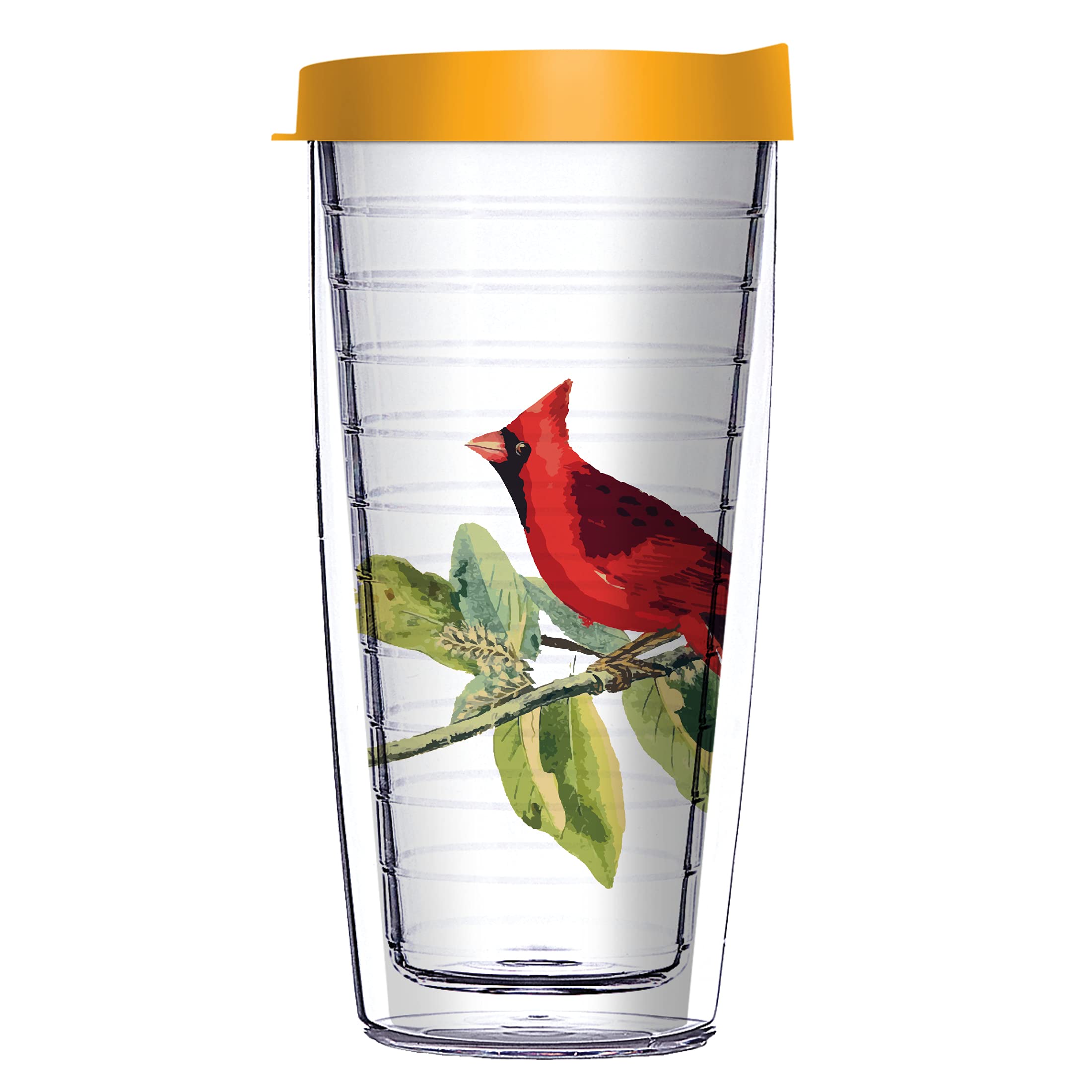 Cardinal Plastic Glasses