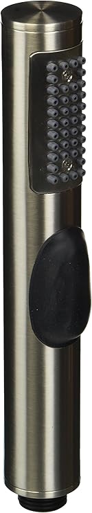 Danze D492110BN Contemporary Personal Spray for Roman Tub, Brushed ...