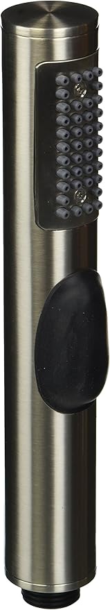 Danze D492110BN Contemporary Personal Spray for Roman Tub, Brushed ...