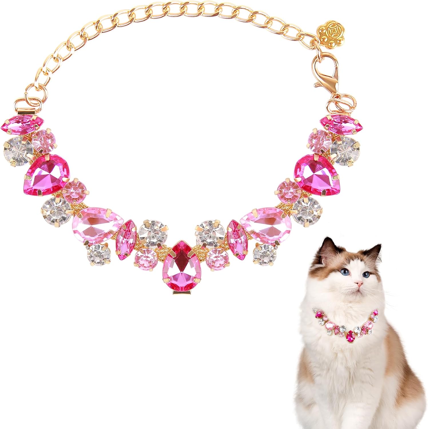 Amazon.com : HOWWFALY Dog Collar and Cat Collar Gold Chain Necklace Stainless Steel Adjustable ...