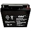 Amazon.com: Weize 12V 20AH Lead Acid Battery Replace UB12200 FM12200 ...