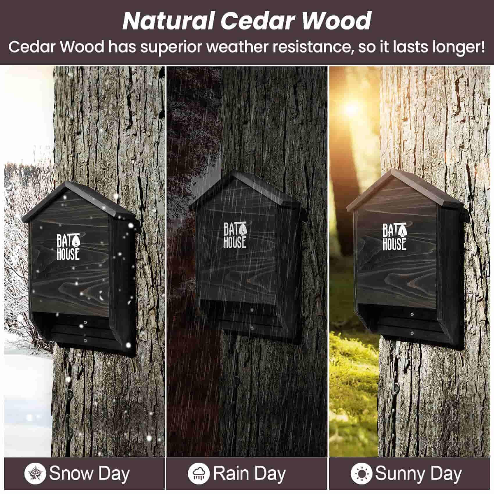 Snapklik.com : Bat Houses For Outdoors For Tree, 2 Chamber Bat Boxes ...