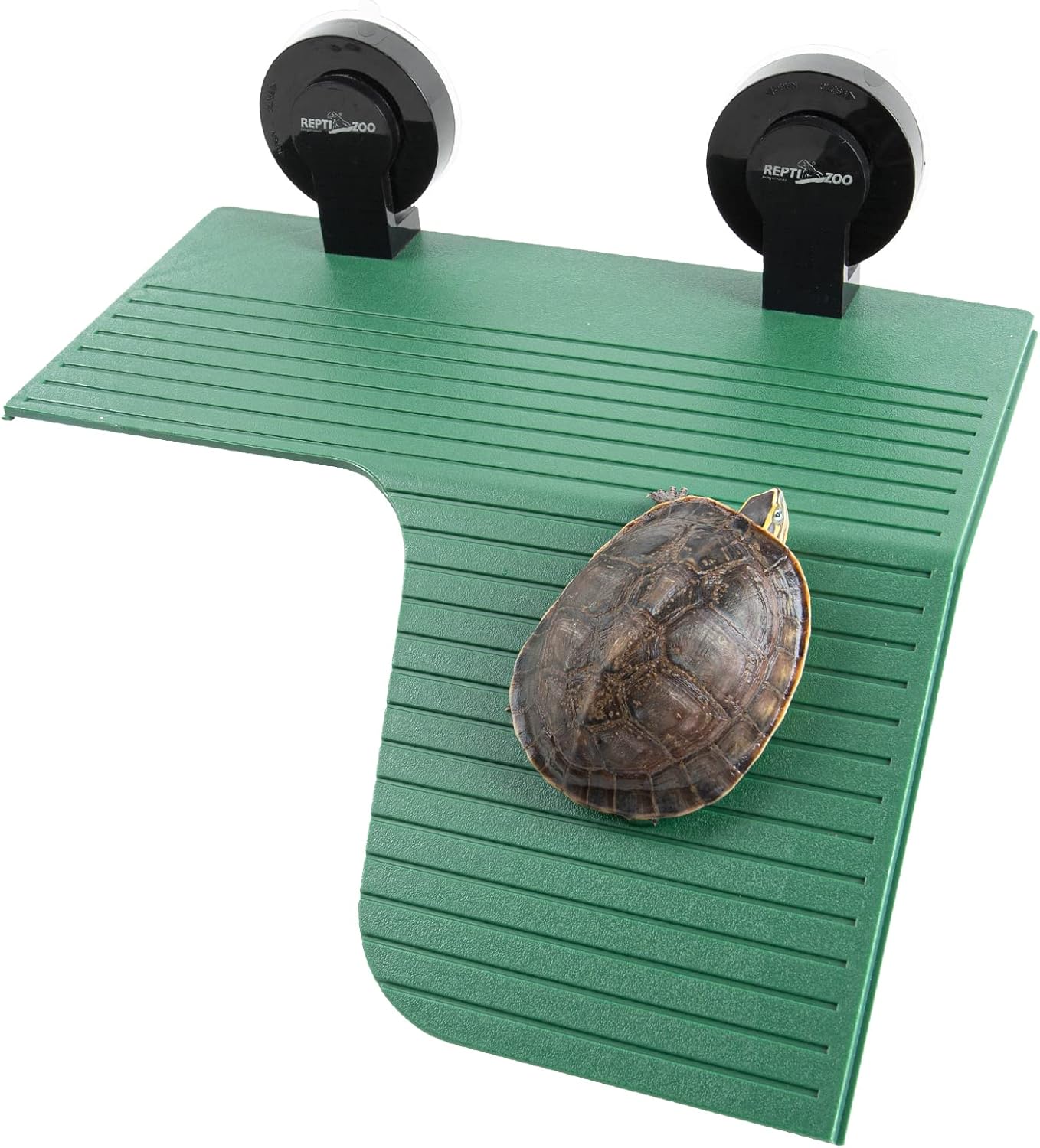 Amazon.com : REPTI ZOO Turtle Basking Platform, Turtle Tank Platform ...