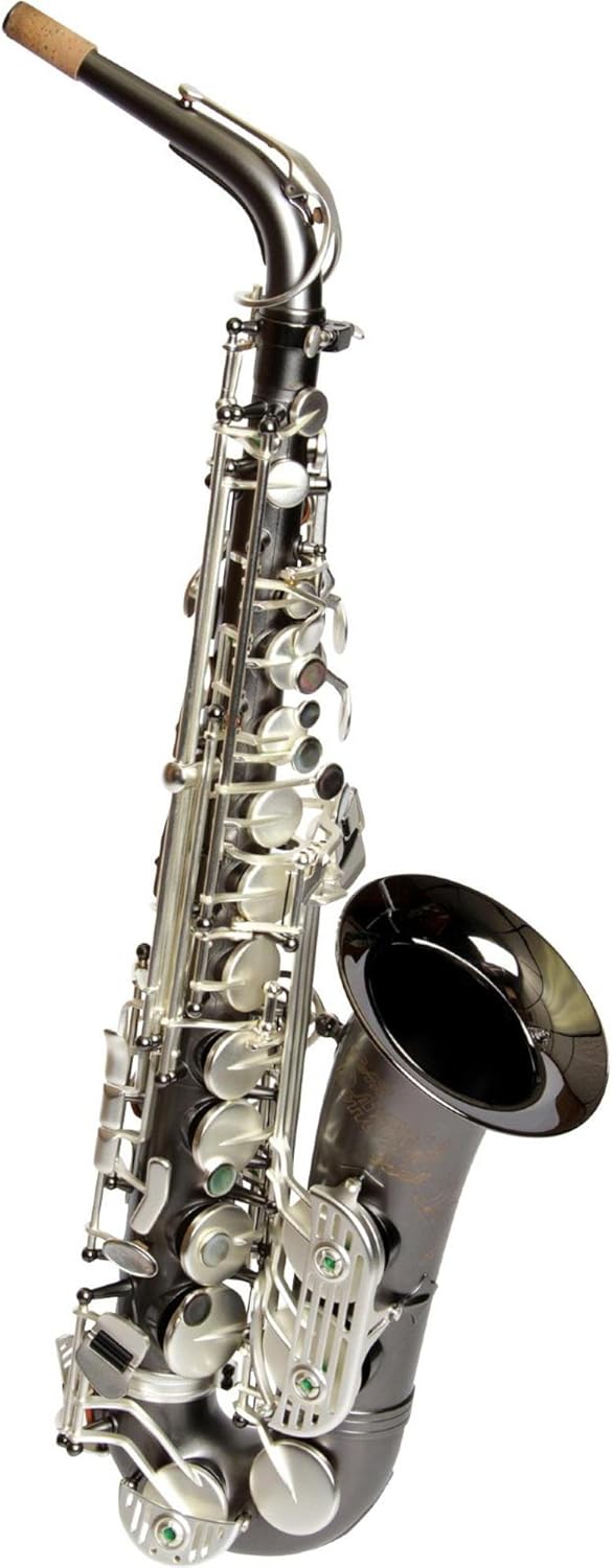 Amazon.com: Sax Dakota SDA-1000 GO Professional Alto Saxophone Gray ...