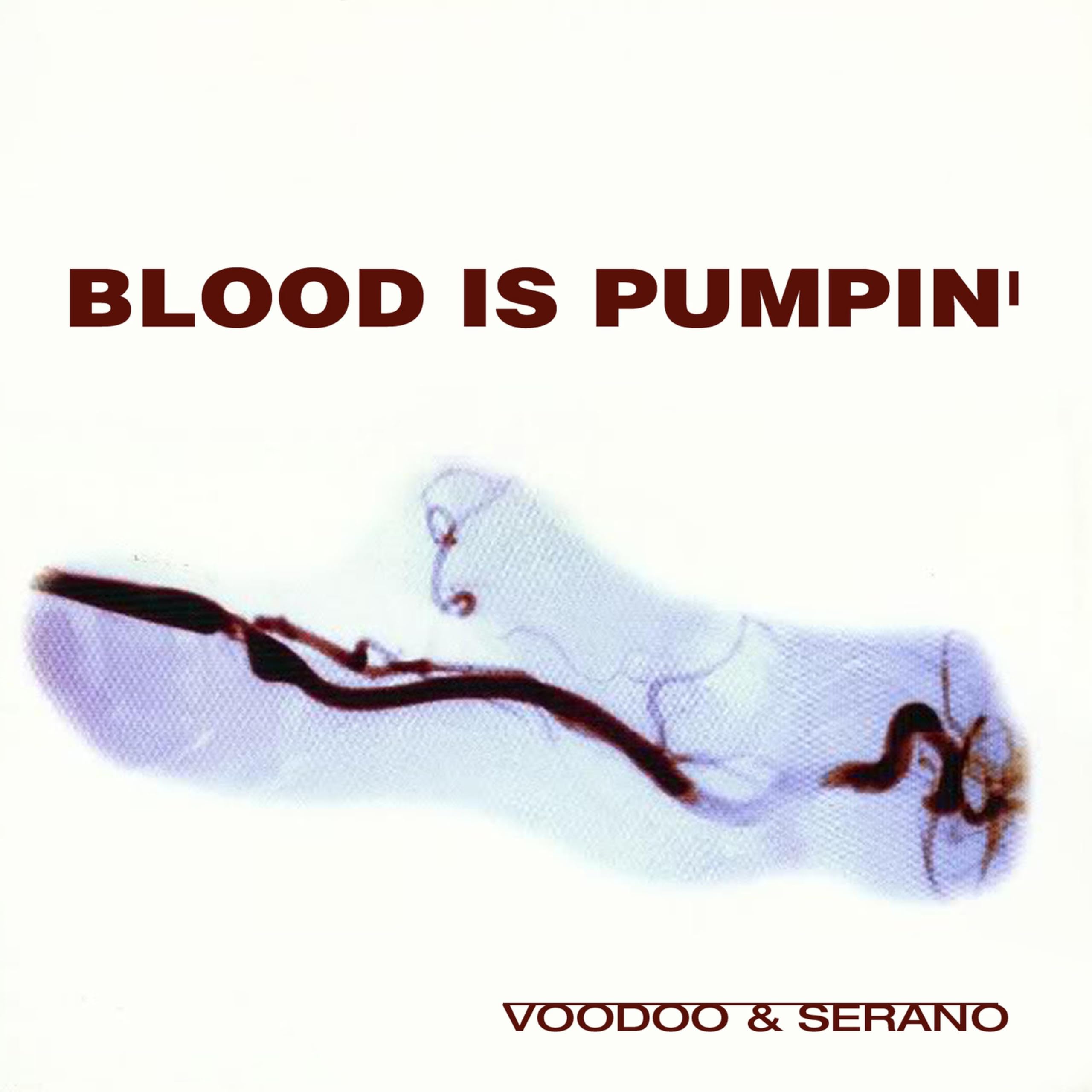 Blood Is Pumping (Extended Mix) song by VooDoo & Serano from Blood Is ...