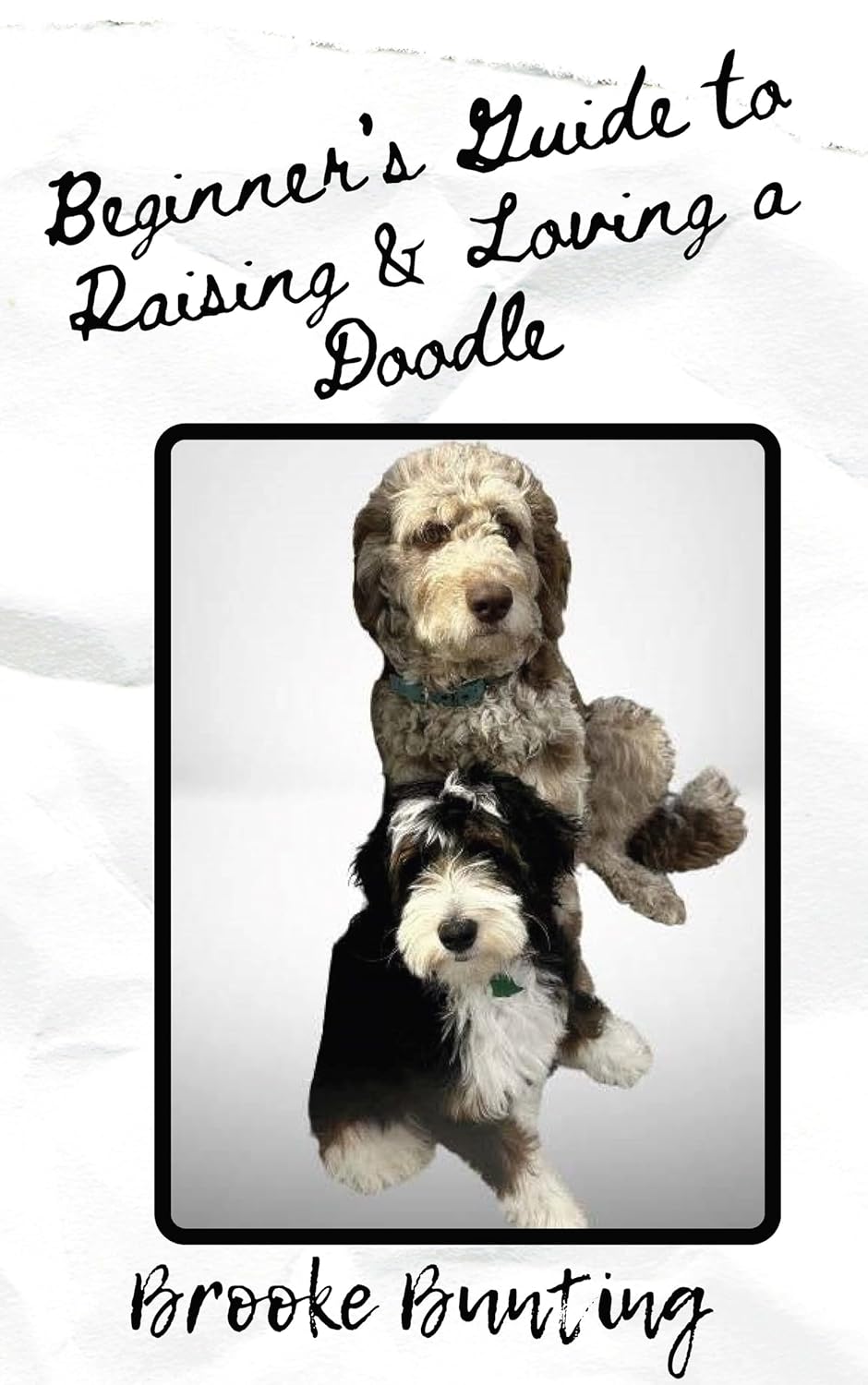 Amazon.com: Beginner's Guide to Raising & Loving a Doodle: Discover ...